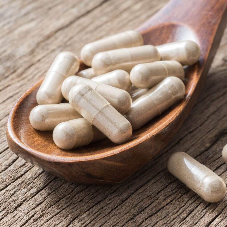 The Health Benefits of Beef Liver Powder – Nutraviva